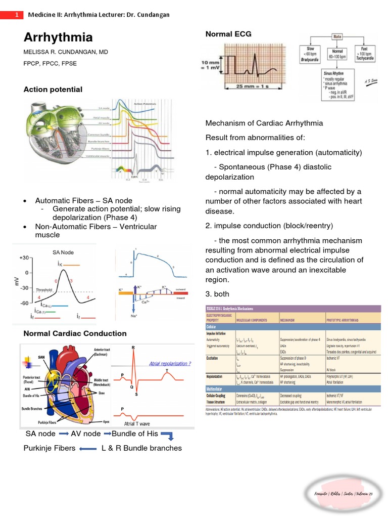 Med II-LE1-1.03 Arrhythmia Notes | PDF | Atrium (Heart) | Electrophysiology