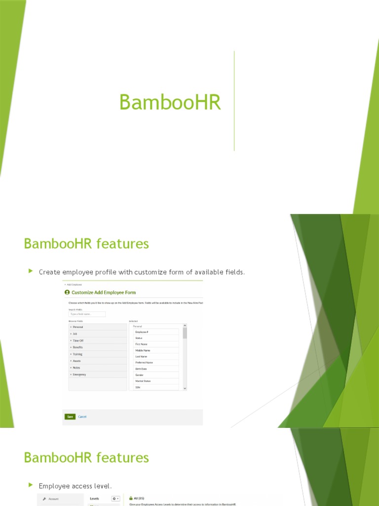 BambooHR Features and Time Tracking Guide | PDF