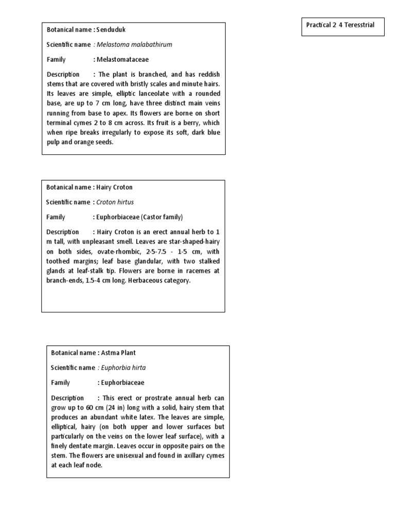 Botanica. Name Scientific Nama | PDF | Leaf | Plants