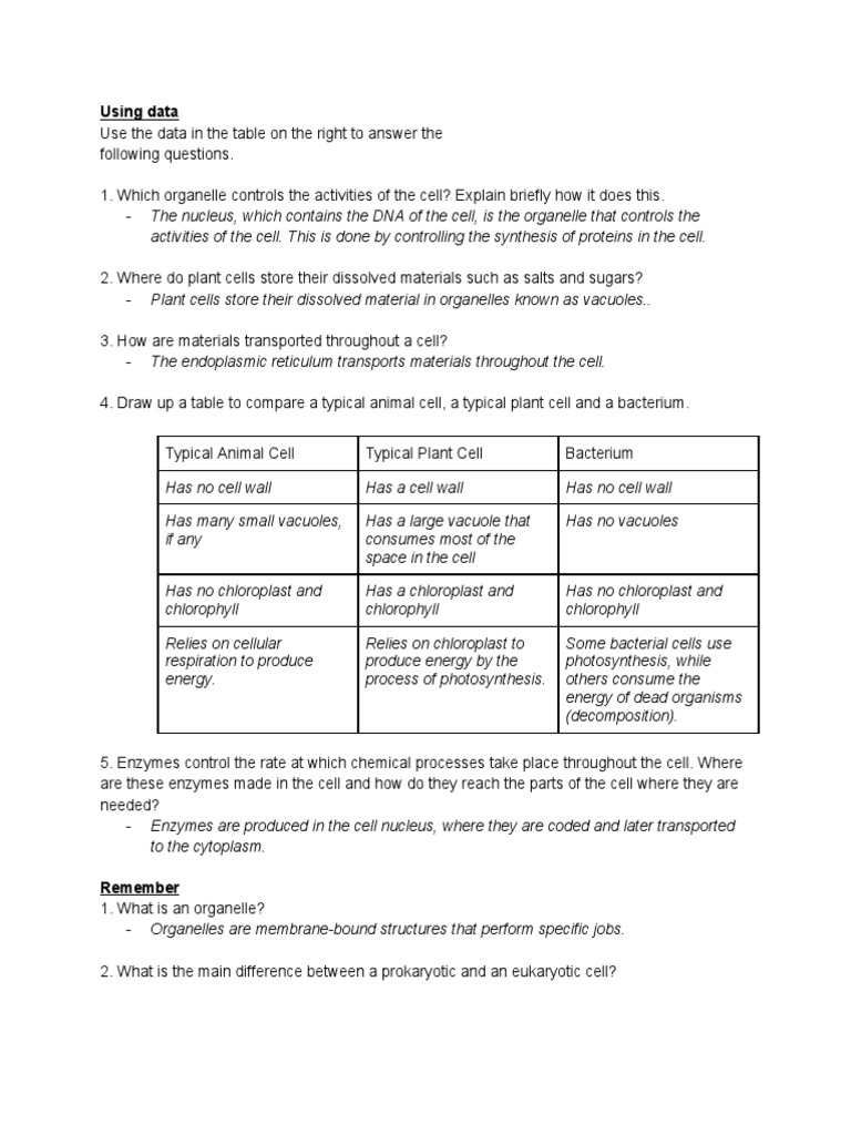 Cells Activity Questions | PDF | Cell (Biology) | Organelle