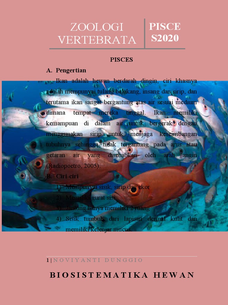 Bab 11 (Pisces) | PDF