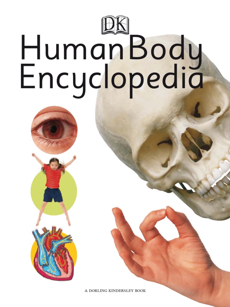 Human Body Encyclopedia Dk Pdf Taste Human Body