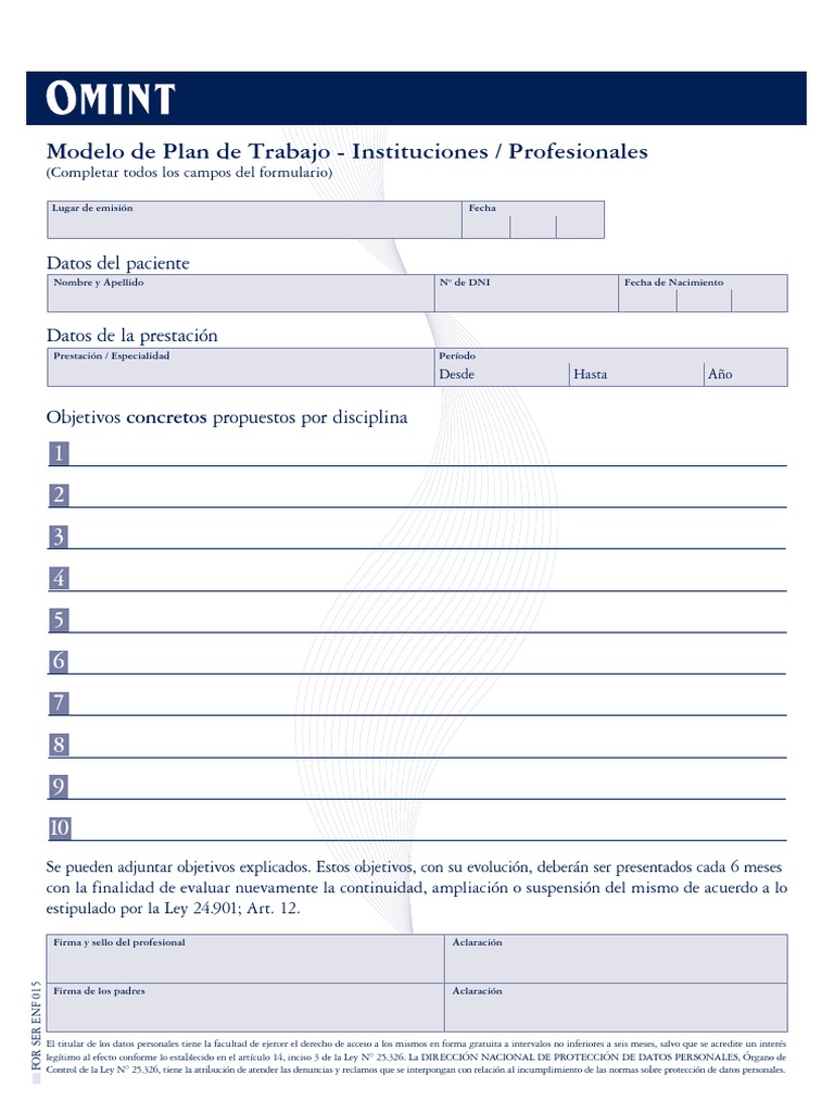 OMINT - Modelo de Plan de Trabajo | PDF