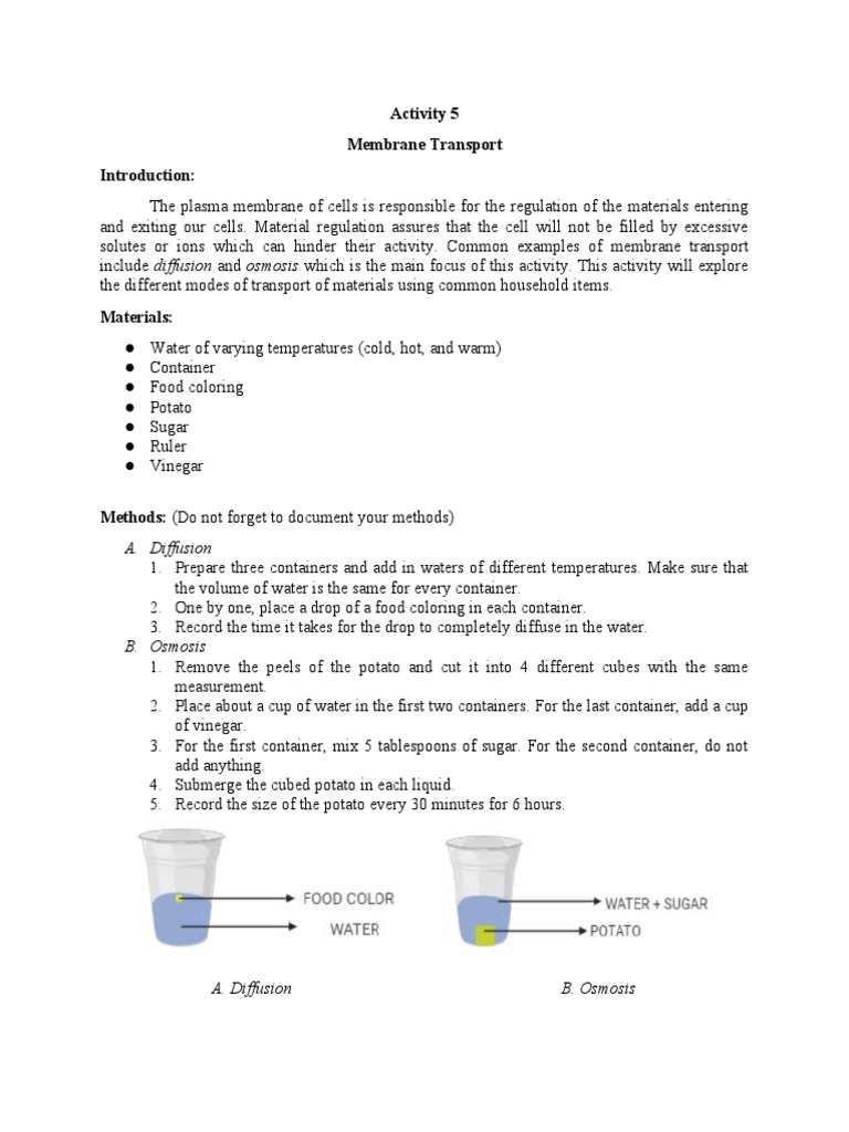 Activity 5 Membrane Transport: A. Diffusion | PDF | Osmosis | Cell Membrane