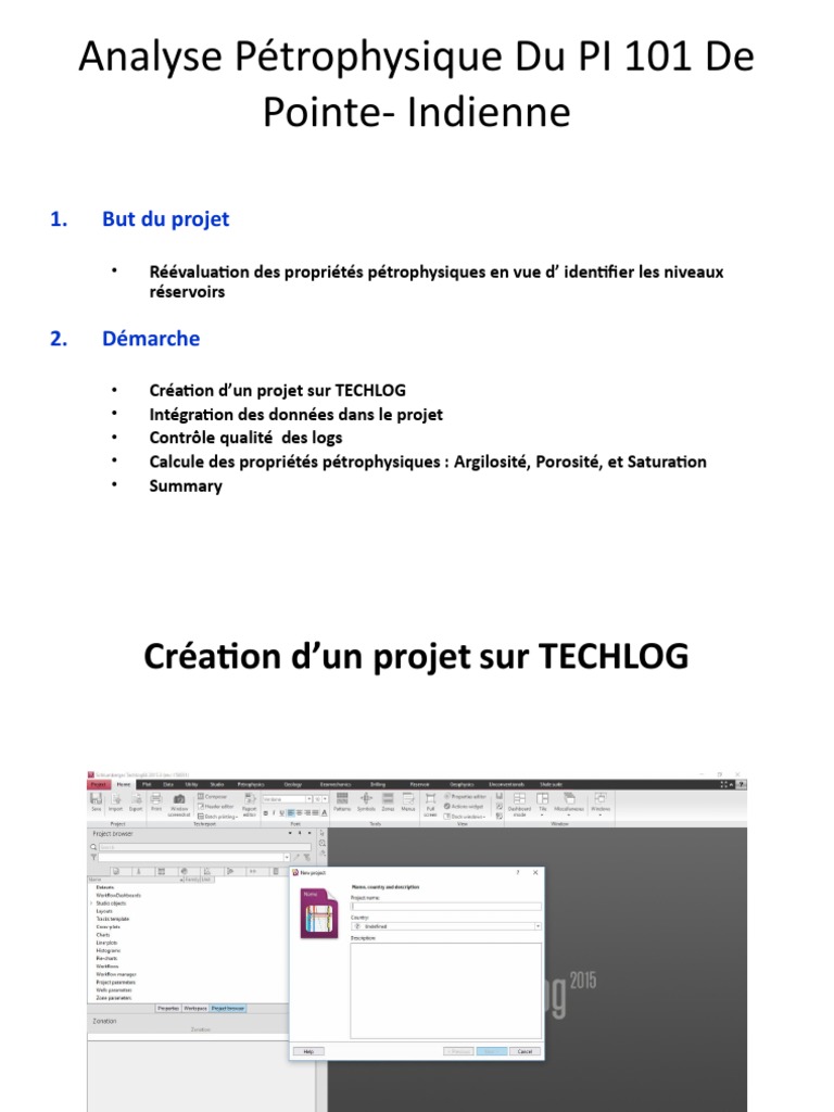 Caractérisation Pétrophysique Du Pi 101, Puits Du - Copie | PDF