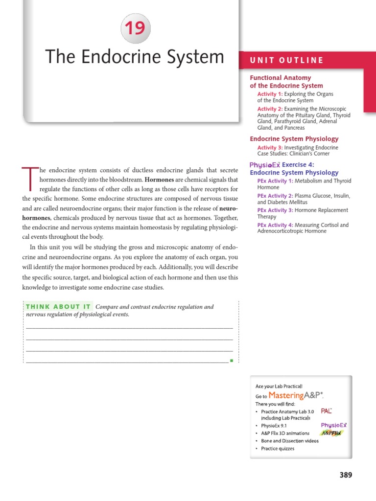 AAP Module 9 Supplement | PDF | Endocrine System | Luteinizing Hormone