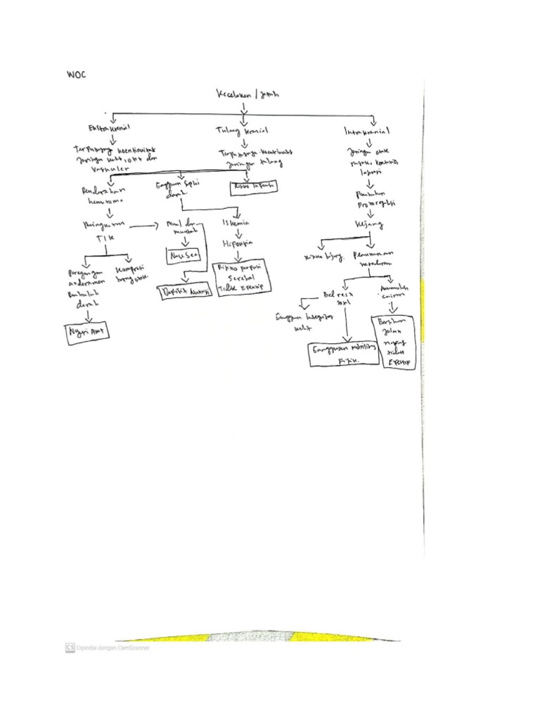Woc Cos | PDF