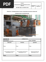 Formato - Dge FT 01 | PDF | Privacidad de la información | Justicia