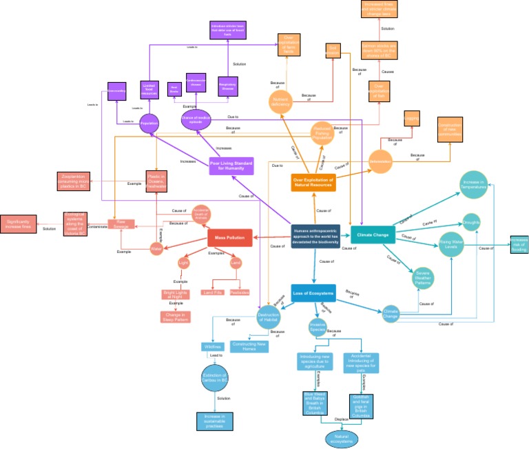 Mind Map | PDF | Deforestation | Habitat Destruction