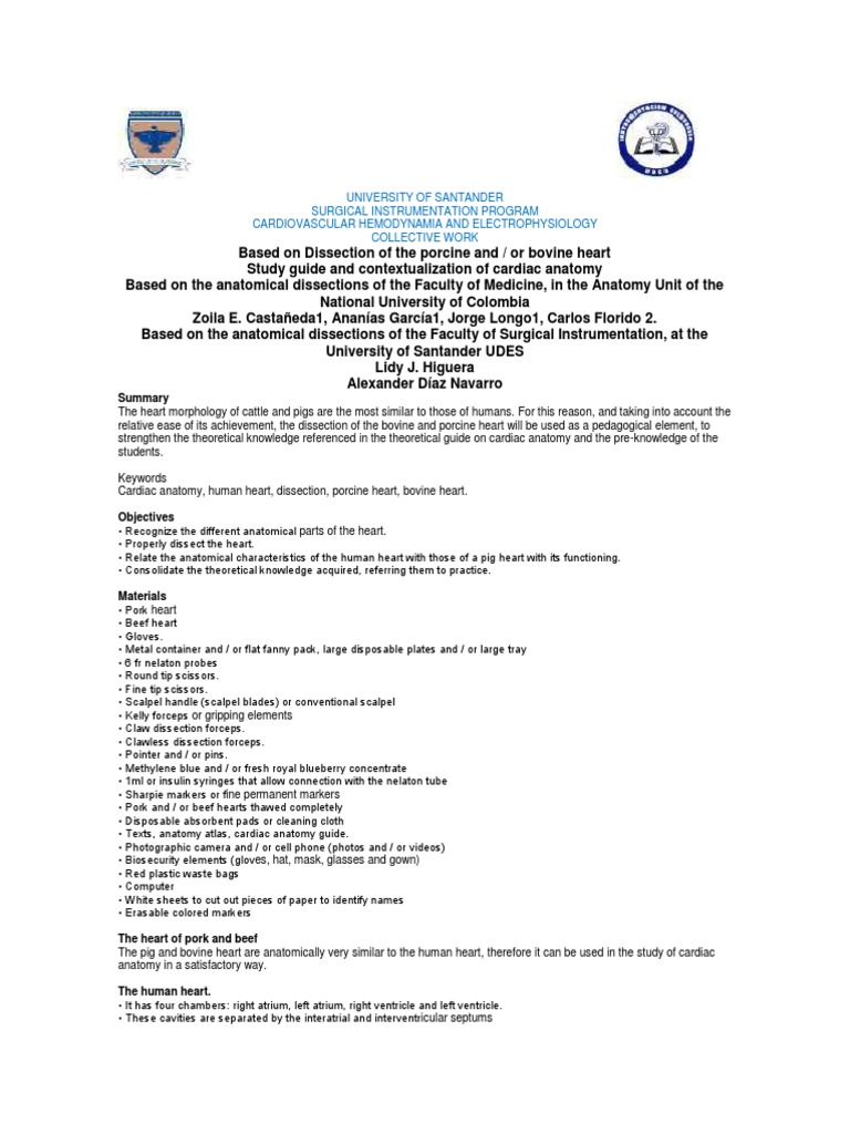 Anatomical Dissection Guide | PDF | Heart Valve | Ventricle (Heart)