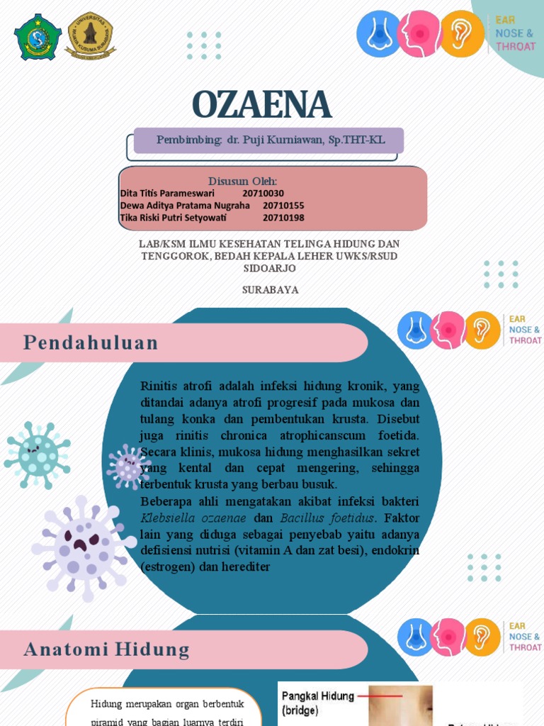 OZAENA | PDF