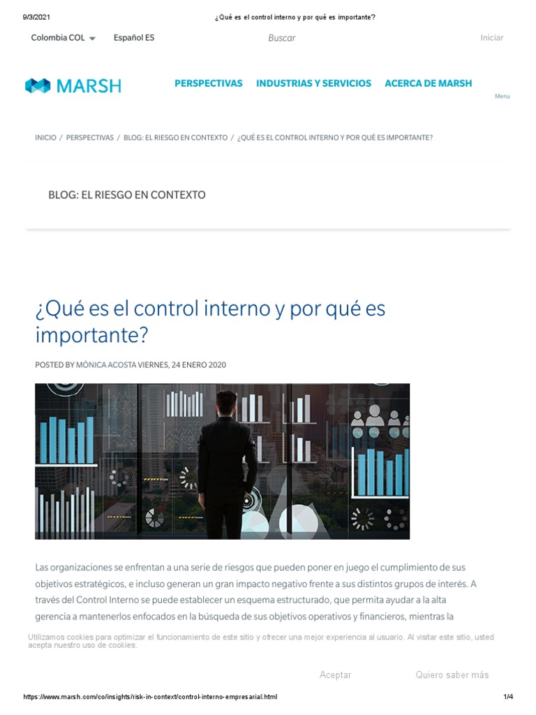 ¿Qué Es El Control Interno y Por Qué Es Importante | PDF