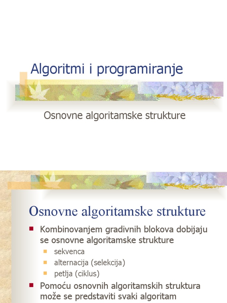 04-Osnovne Algoritamske Struktre | PDF