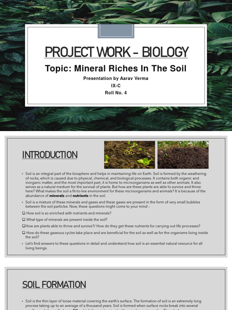 Project Work - Biology (Class Ix) | PDF | Soil | Soil Fertility