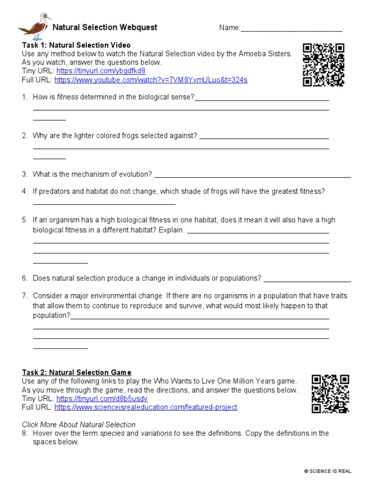 Handout For Natural Selection Webquest | PDF | Natural Selection ...