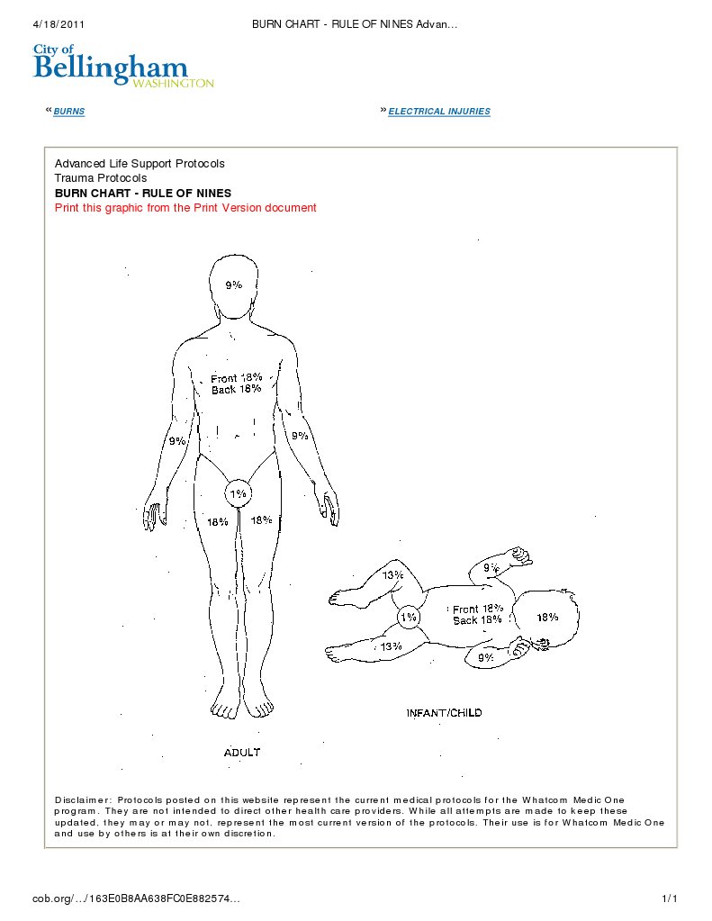 Rule of Nines Burn Chart for Adults | PDF
