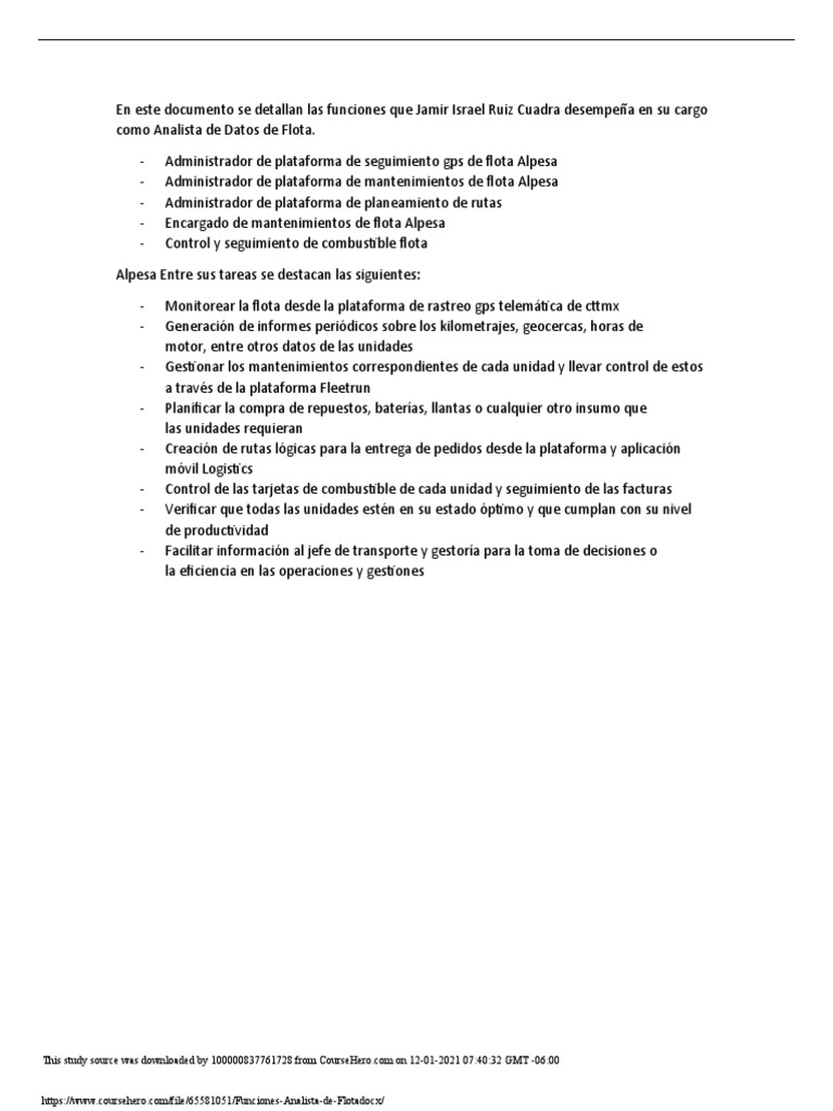 Funciones Analista de Flota | PDF