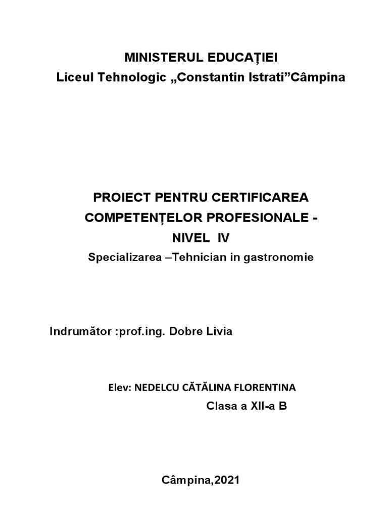 Nedelcu Catalina | PDF