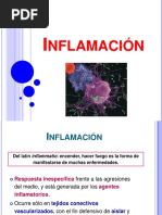 Etapas de la Inflamación Explicadas | PDF | Inflamación | Inmunología