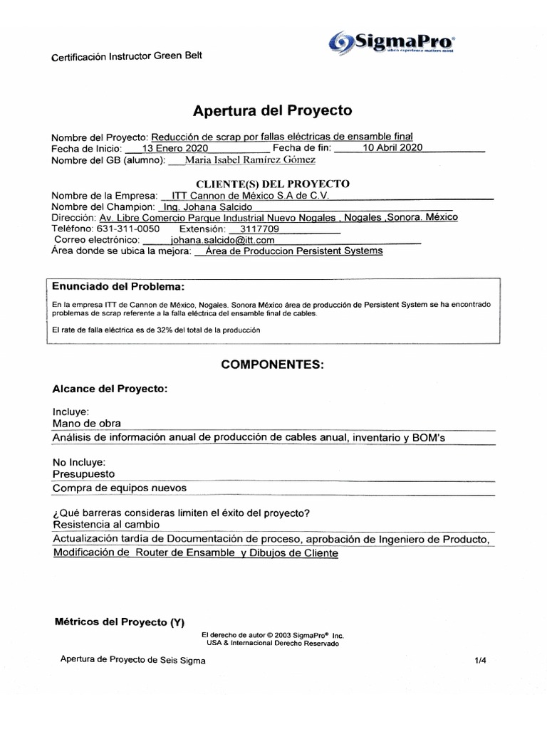 Evidencia 1 Scanner Sigma Pro | PDF