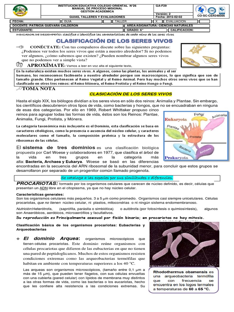 Taller de Los Seres Vivos | PDF | Archaea | Las bacterias