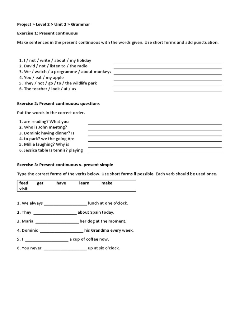 Project Level 2 Unit 2 Grammar | PDF