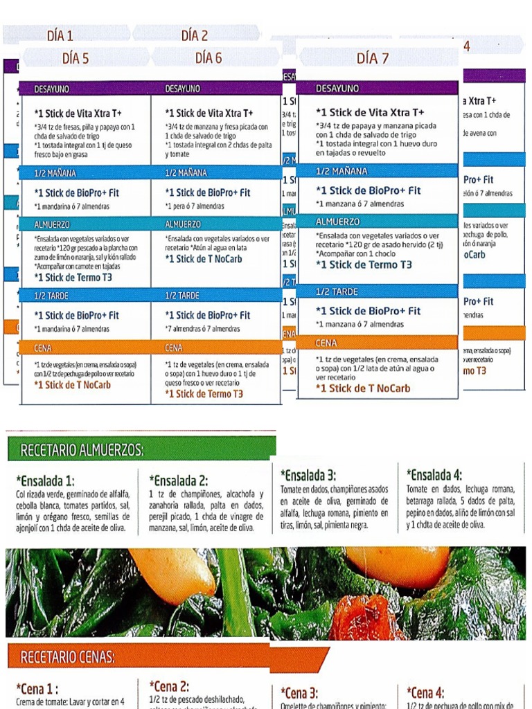 Plan Nutricional | PDF