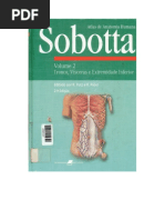 Anatomia Orientada para A Clínica - Moore | PDF