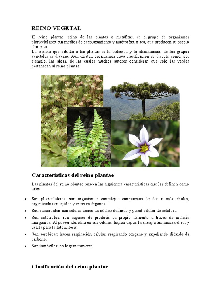 Características y clasificación de los reinos vegetal y animal | PDF ...