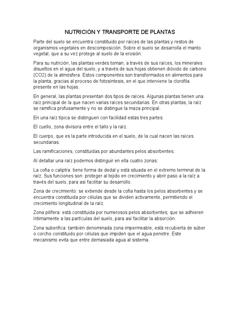 Estructura y funciones de las plantas | PDF | Raíz | Flores