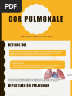 Técnicas de Otb | PDF | Anatomía
