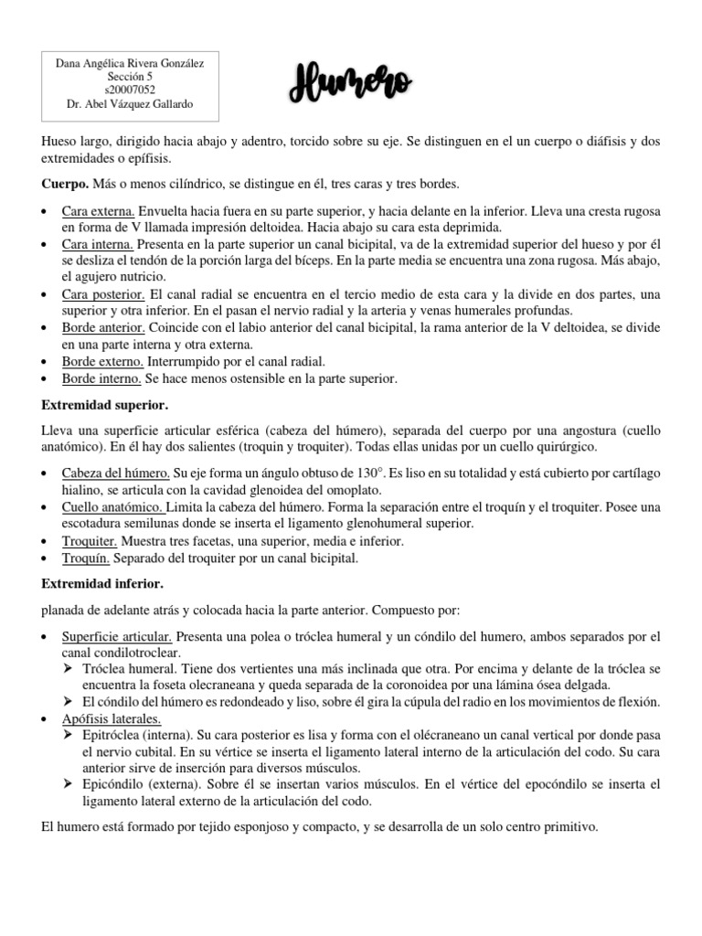 Humero y Cubito | PDF | Codo | Sistema esquelético
