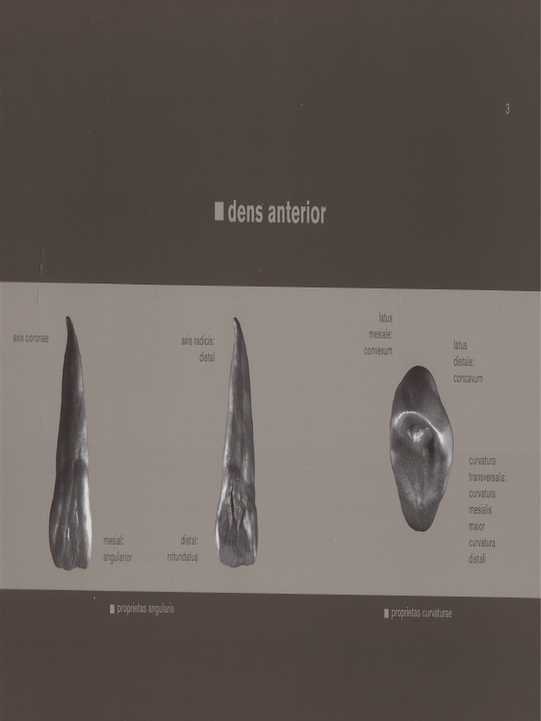 Knut Miller | PDF