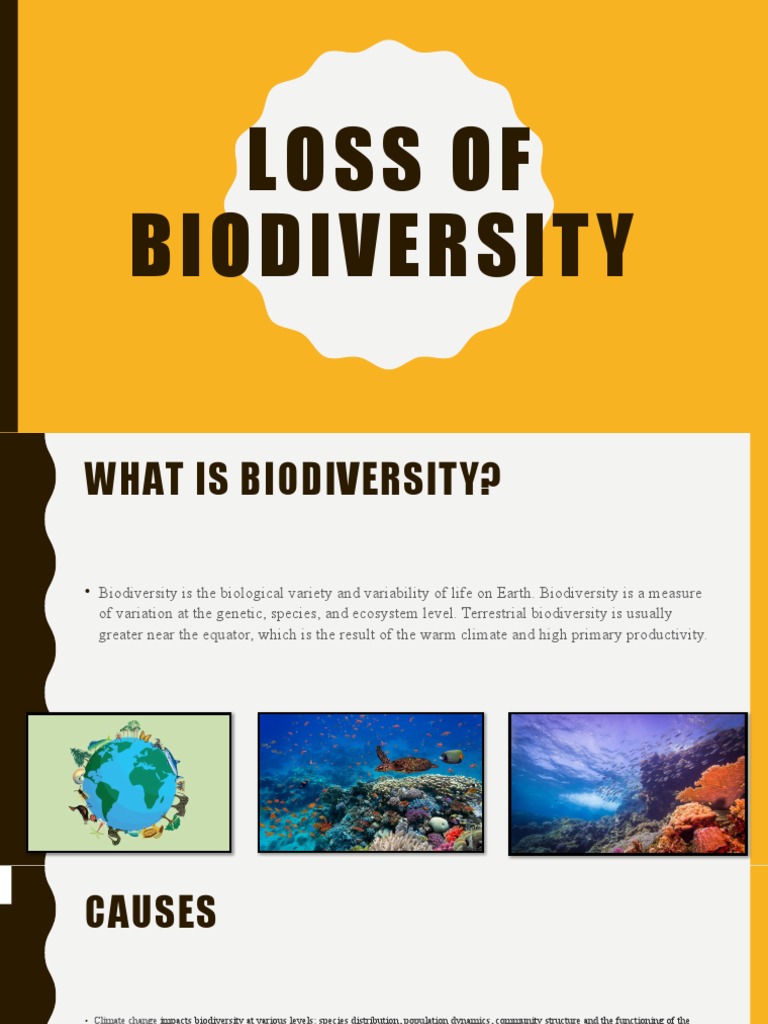 Loss of Biodiversity | PDF | Biodiversity | Sustainability