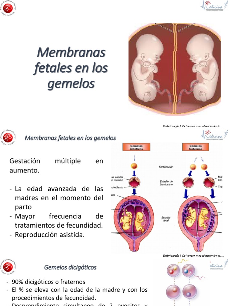 Feto y Placenta. Parte 4 | PDF | Gemelo | Parto