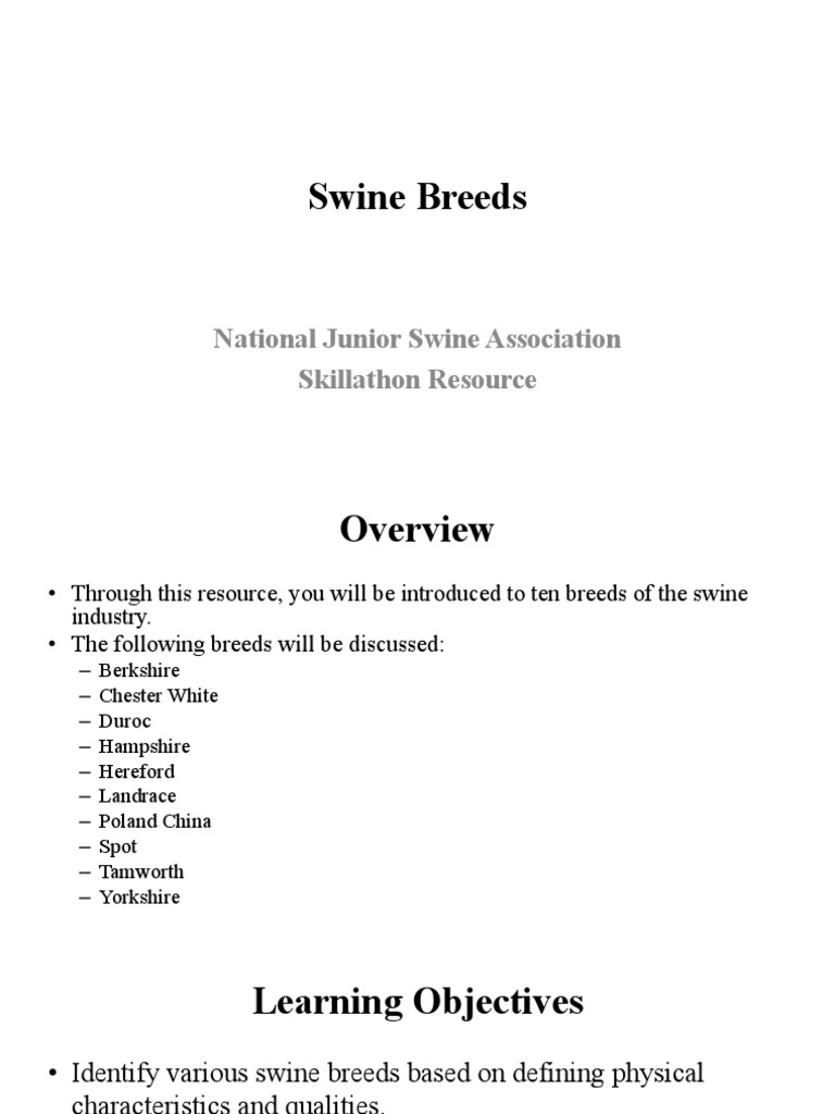 Swine Breeds Quiz | PDF | Domestic Pig | Breeds