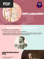 Etapas de La Inflamacion PDF | PDF | Inflamación | Inmunología