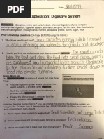 Digestive System GIZMO | PDF | Digestion | Small Intestine