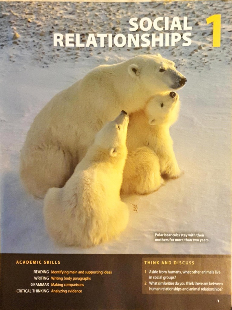 Unit 1. Reading&Writing | PDF | Aggression | Chimpanzee