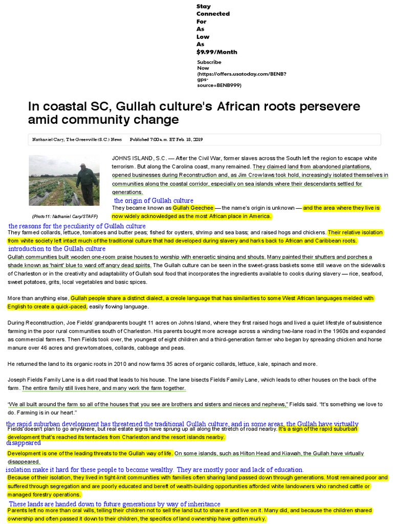 种族Gullah culture's African roots persevere amid threat of development | PDF