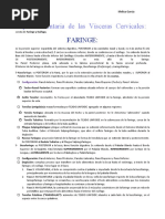 Membranas Faríngeas | PDF | Oído | Membrana mucosa