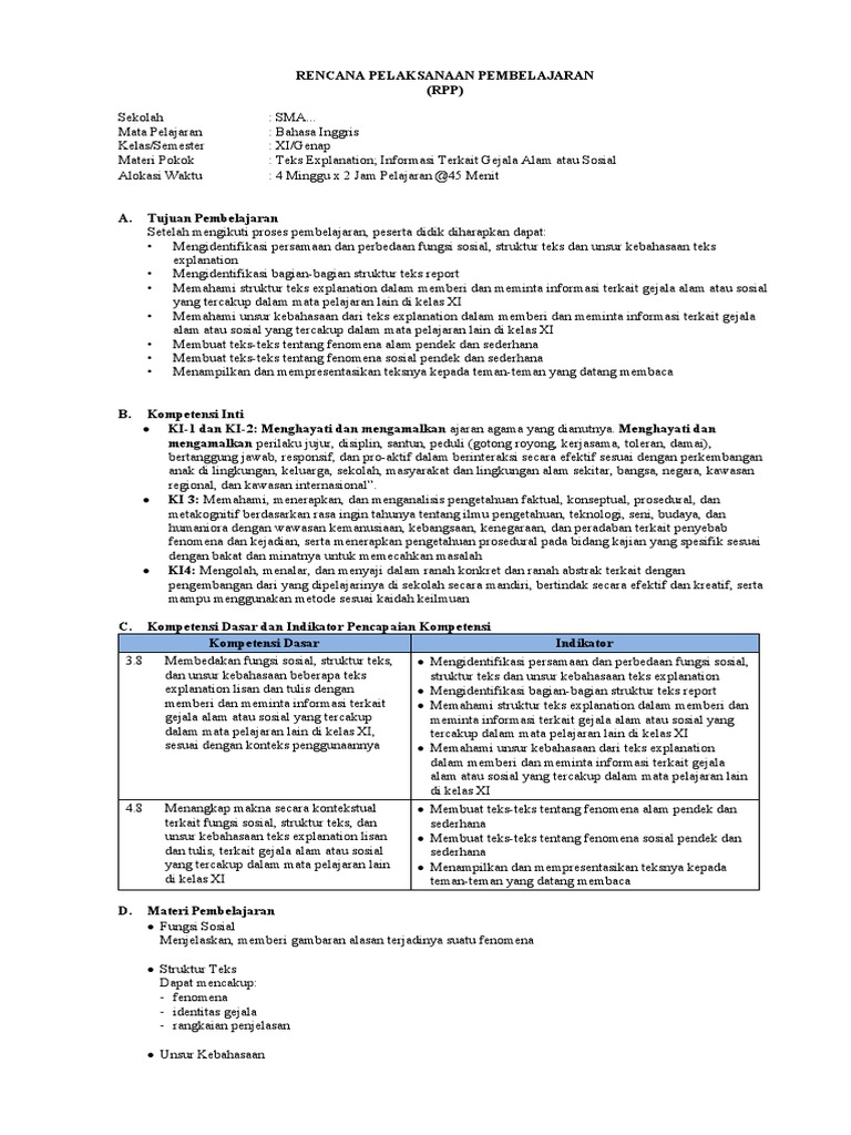 RPP Factual Report | PDF