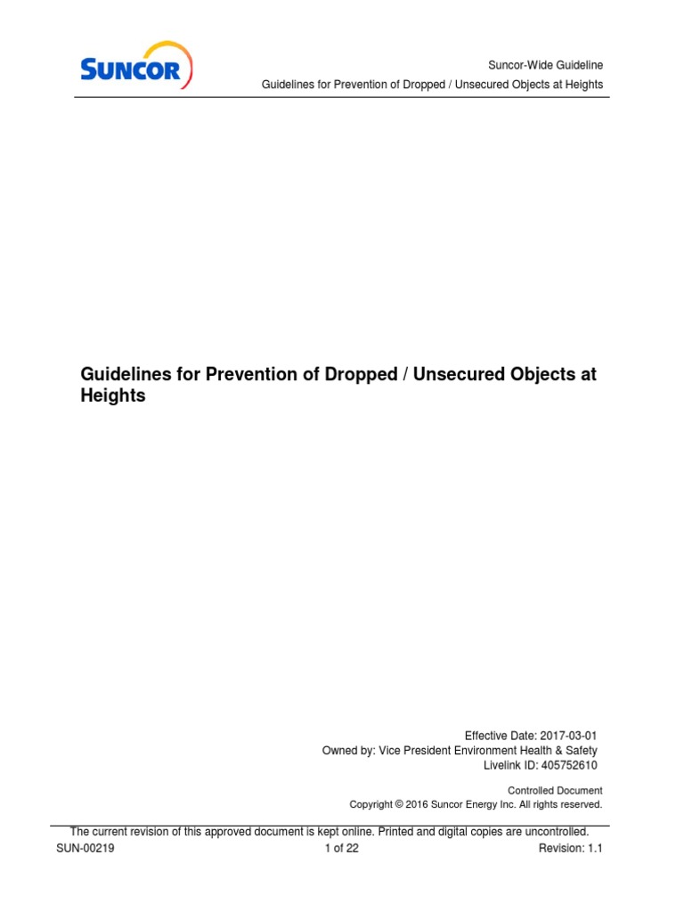 Guidelines For Prevention of Dropped / Unsecured Objects at Heights ...