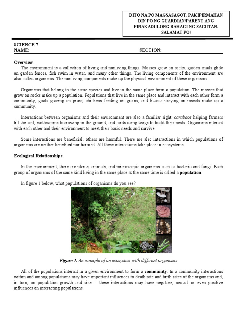 Interactions - Worksheets w7-8 q2 | PDF | Plants | Ecosystem