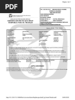 Formato Incapacidad Imss Editable Word | PDF