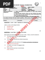 The Pearl - Questions | PDF | Violence