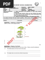 Grade 4 Geography Term 3 Paper | PDF