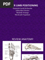 X-Ray Positioning for Toes and Sesamoids | PDF