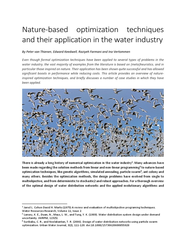 HydroLINK - 2021 - Nature-Based Optimization Techniques | PDF ...