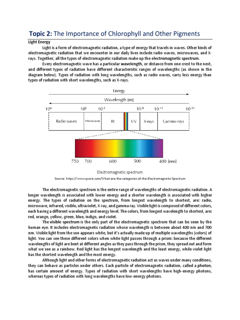 Chlorophyll's Role in Light Absorption | PDF | Electromagnetic Spectrum ...
